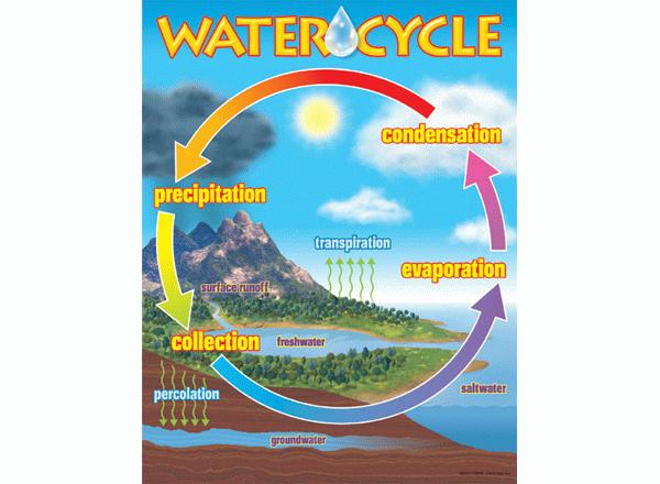 water-cycle-learning-chart