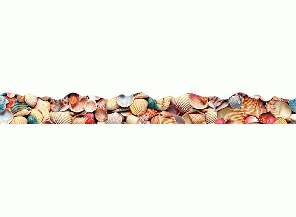 Sea Shell Discovery Border