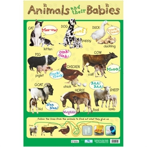 Animals and their Babies Learning Chart